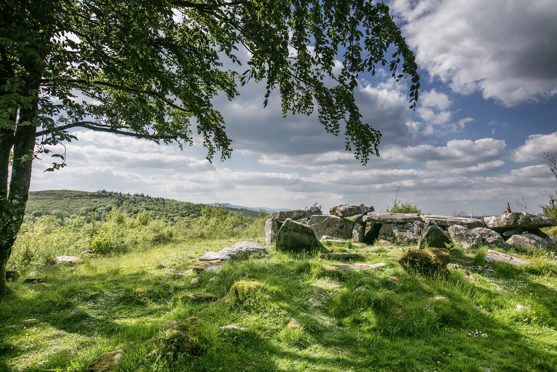 Visit Cavan Burren Park – The Outdoor Museum (World Heritage Day) with ...