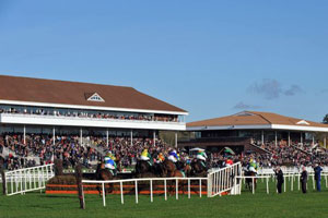 Visit Cork Racecourse Mallow with Discover Ireland