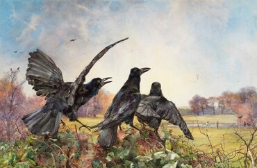 Visit Drawing from the Collection: Exploring the work of Mildred Anne ...