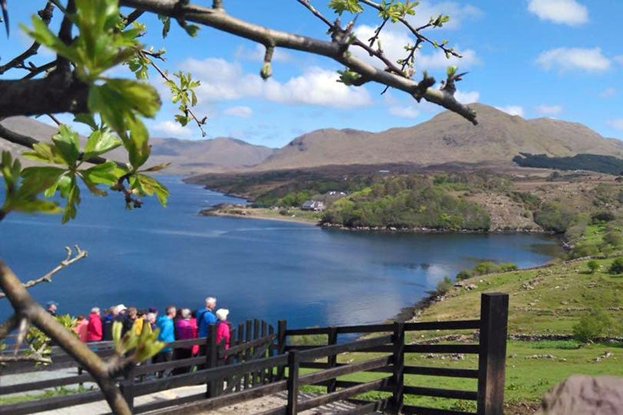 Visit Killary Sheep Farm with Discover Ireland