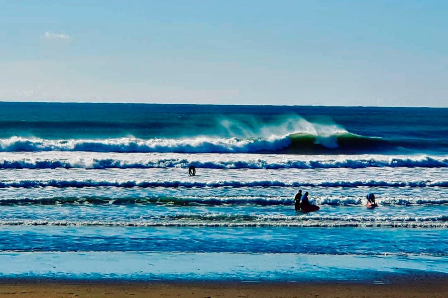 Visit Kinsale Surf Adventures with Discover Ireland