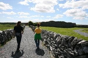 Visit Caherconnell Fort Sheepdog Demonstrations With Discover Ireland