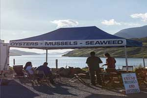 Visit Killary Fjord Shellfish with Discover Ireland