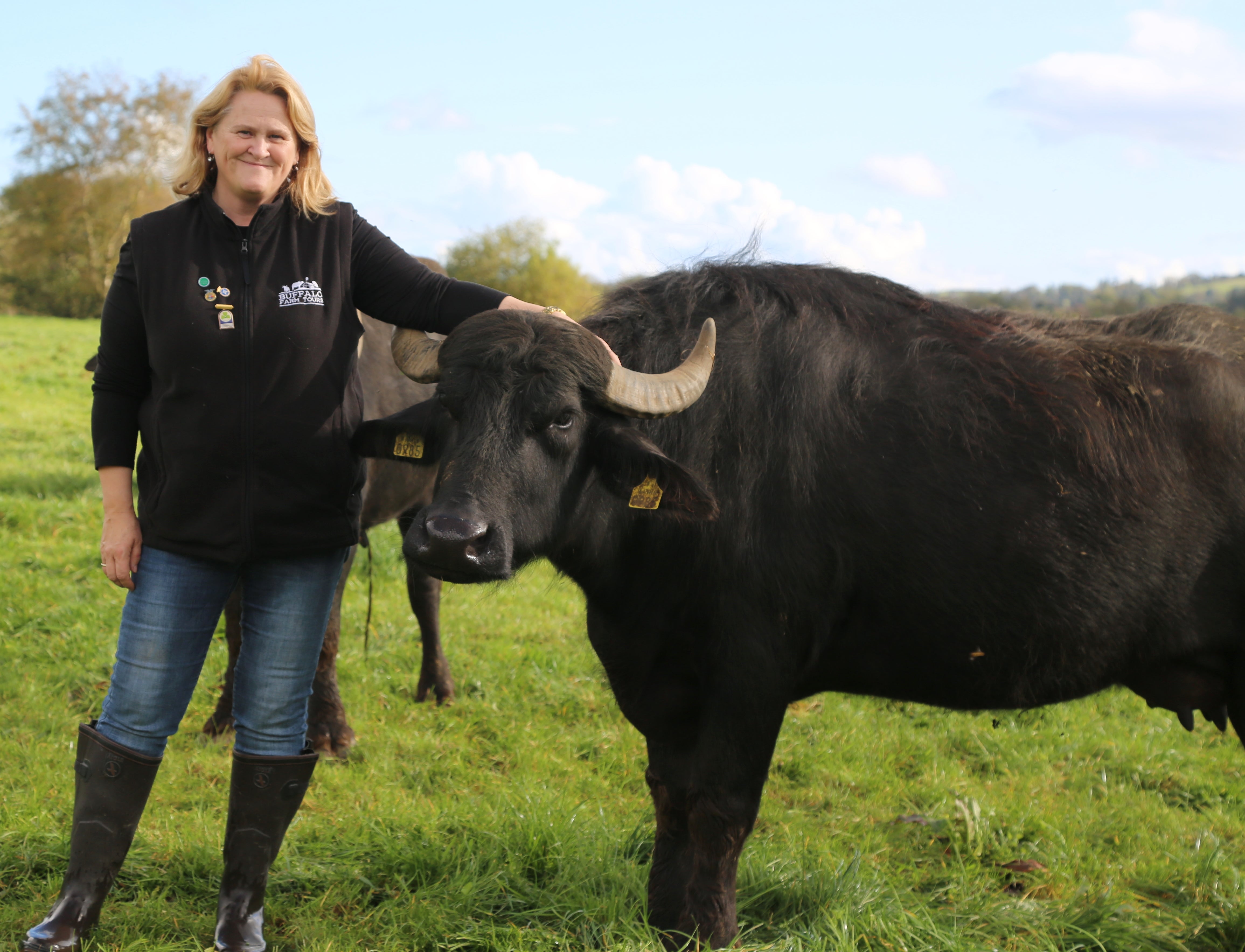 Visit Macroom Buffalo Farm with O'Tuama Tours with Discover Ireland