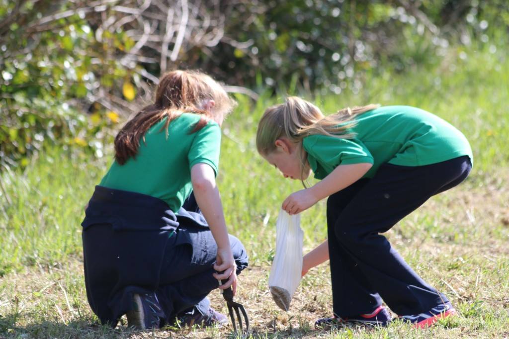 Visit Citizen Science FIT Counts –National Insect Week with Discover ...