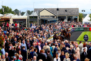 Visit Curragh Racecourse with Discover Ireland