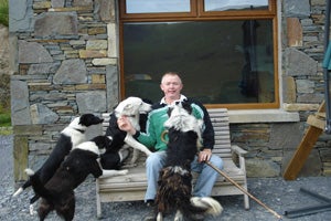 Visit Joyce Country Sheepdogs with Discover Ireland