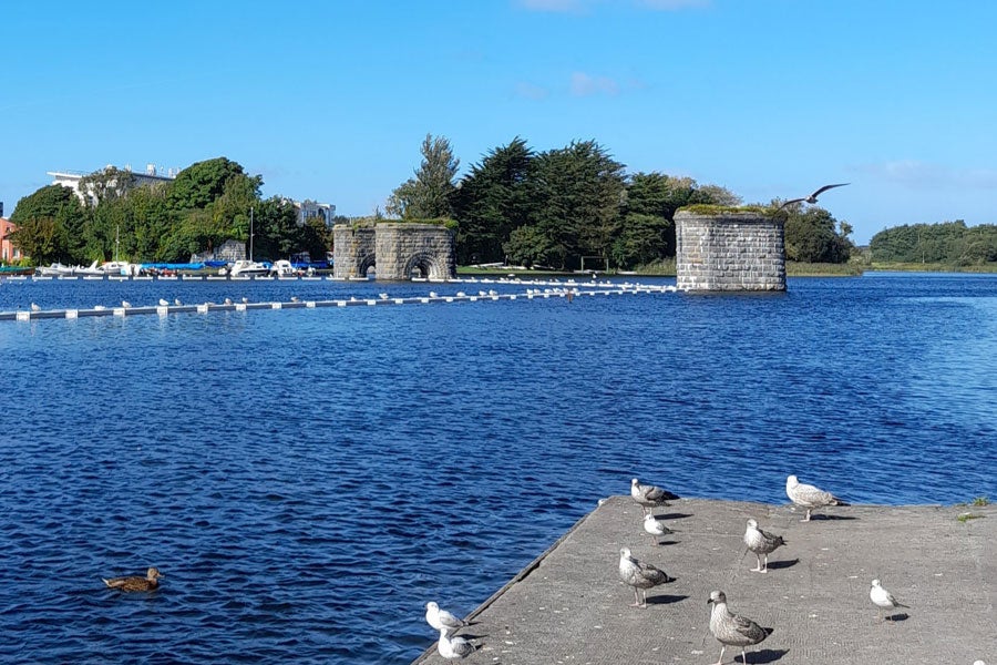 Visit Tour & Taste Galway with Discover Ireland