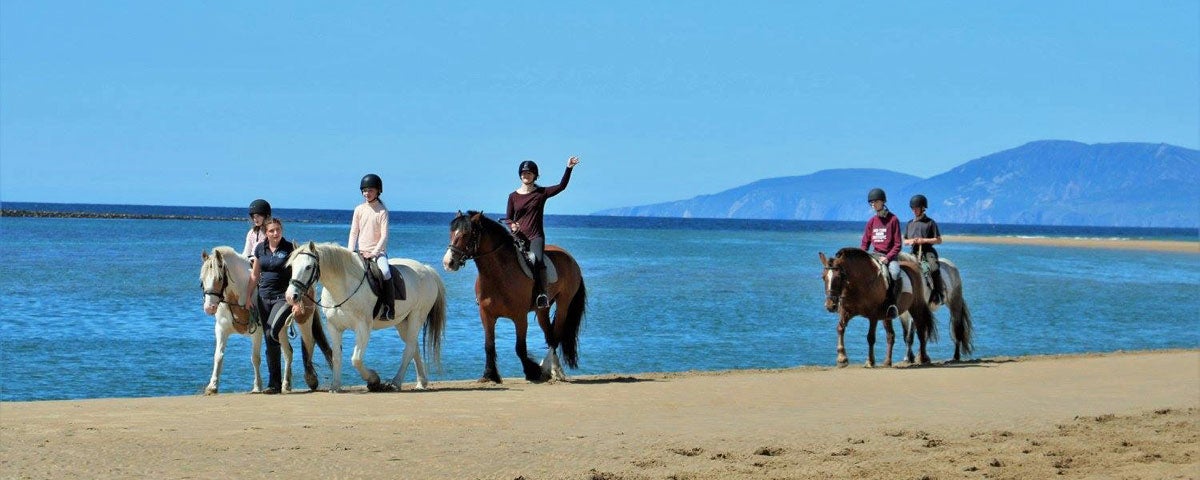 Visit Island View Riding Stables with Discover Ireland