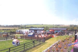 Visit Tick-Tock Activity Farm with Discover Ireland