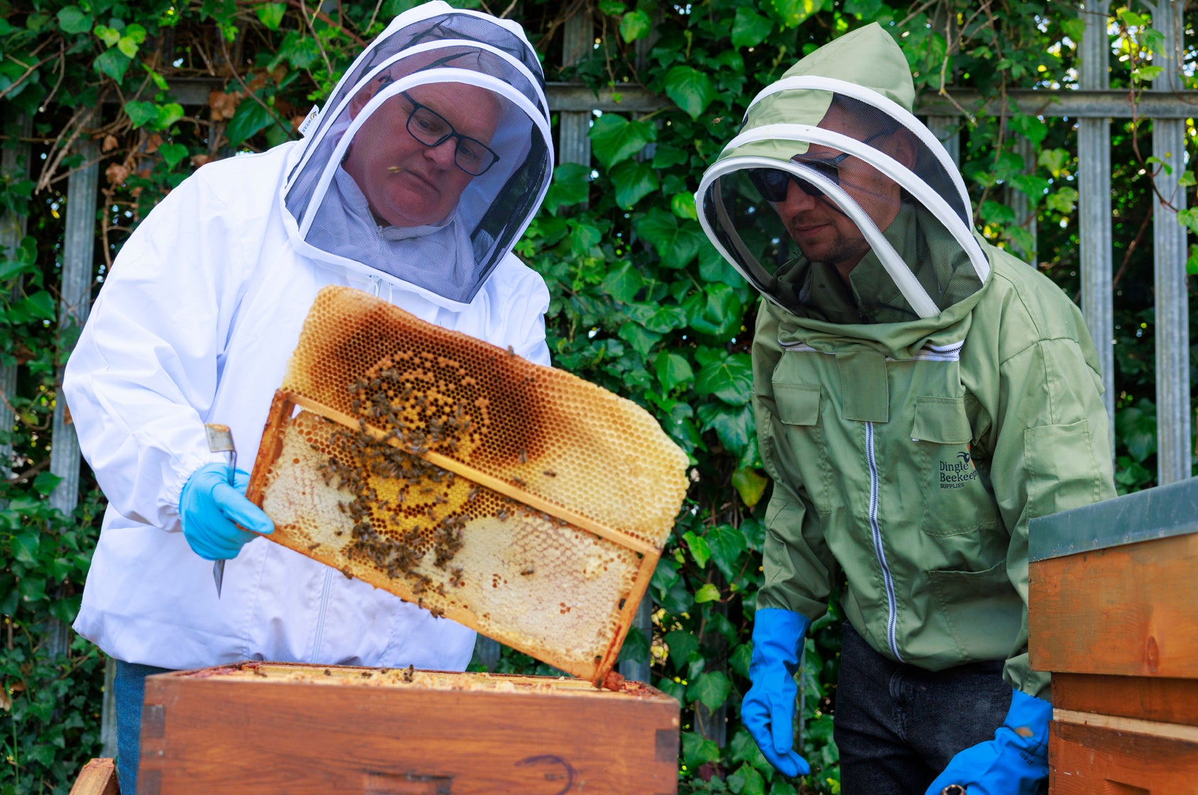 Visit A History of Beekeeping- Heritage Week with Discover Ireland