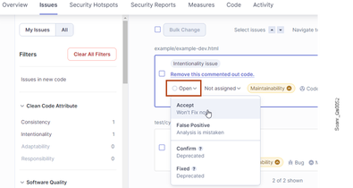 Managing issues & SonarQube