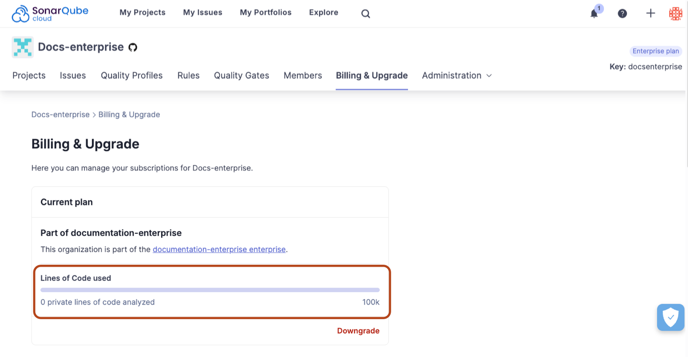 Enterprise’s billing and usage information | SonarQube Cloud Documentation