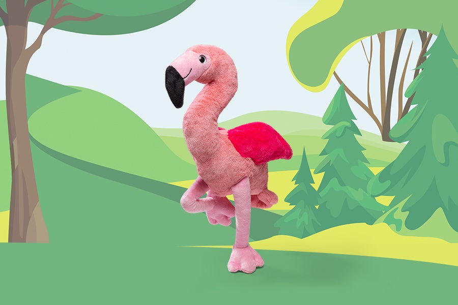 Descoperă lumea cu fiecare pluș!