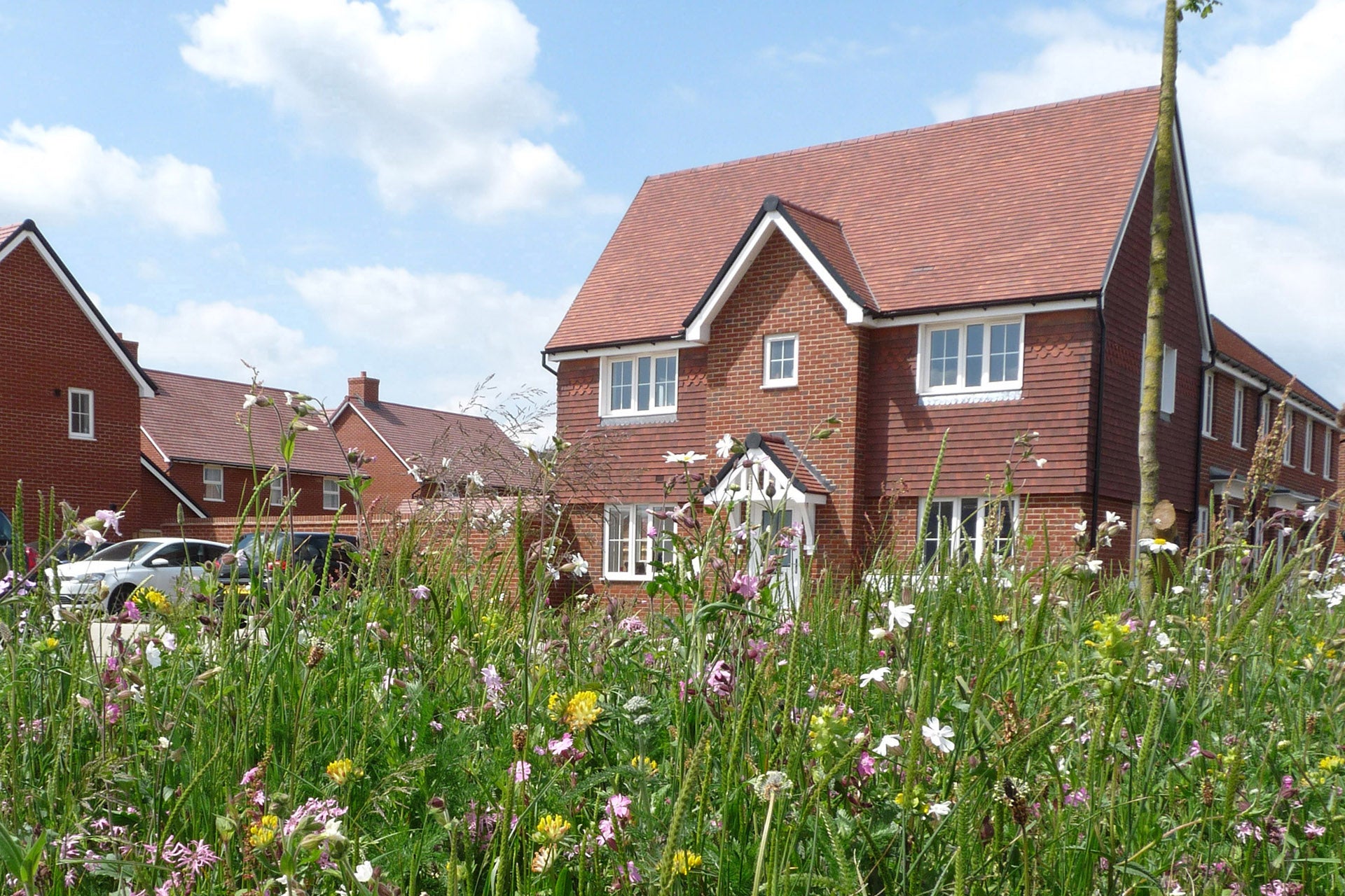 Biodiversity in new housing developments: creating wildlife-friendly ...