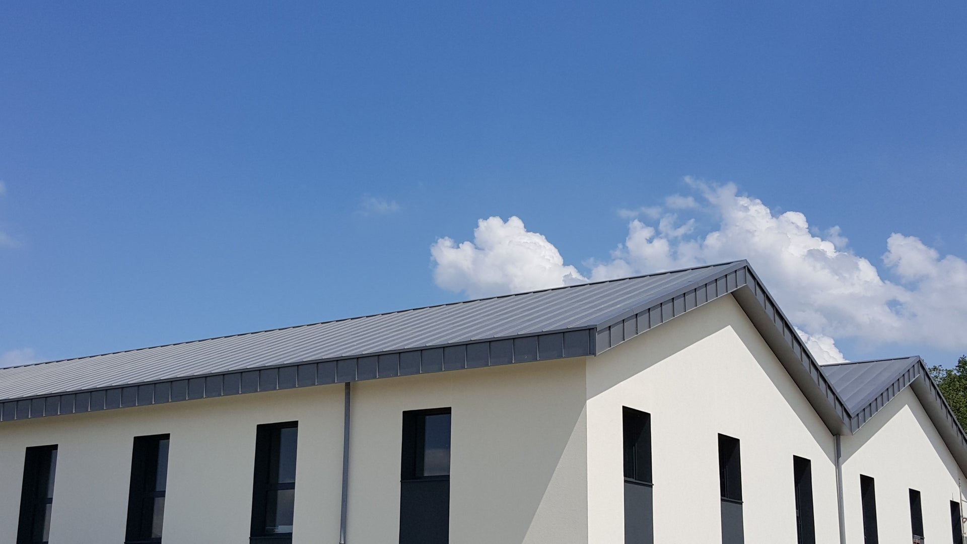 Tijdloze stijl met staande naad gevelbekleding en dakbedekking | Joris Ide België