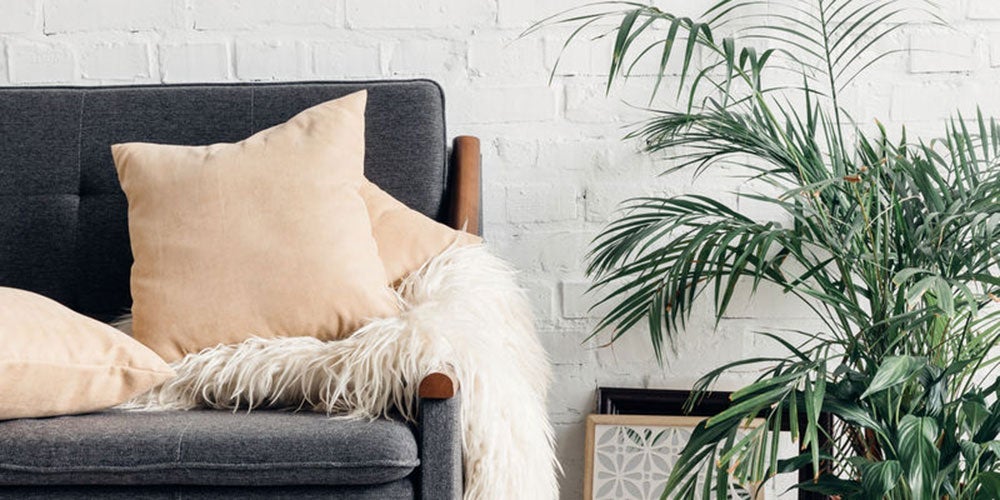 Je muur wit schilderen? Zo kies je de juiste witte verf!