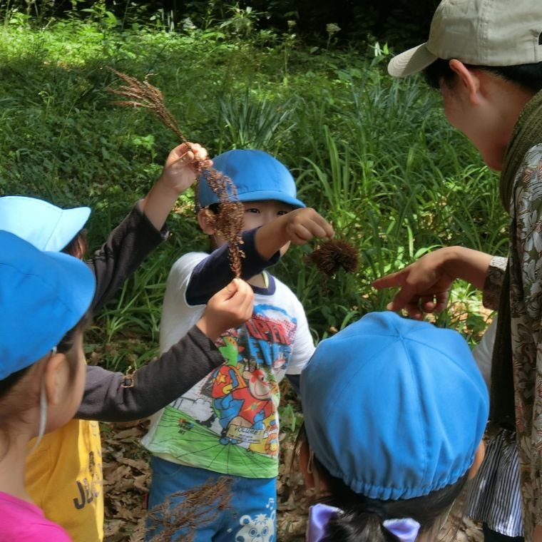 Celebrating Earth Month: PPG, PPG Foundation Take Action with ...