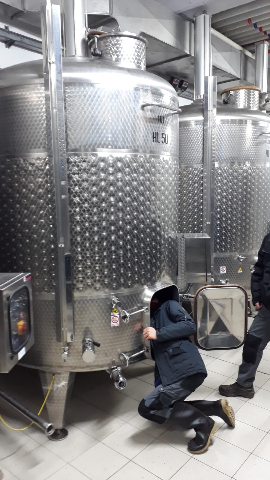 Berufsausbildung Winzerin - Winzer | Berufsschule