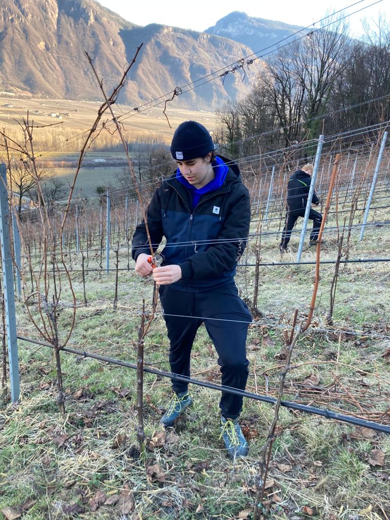 Berufsausbildung Winzerin - Winzer | Berufsschule