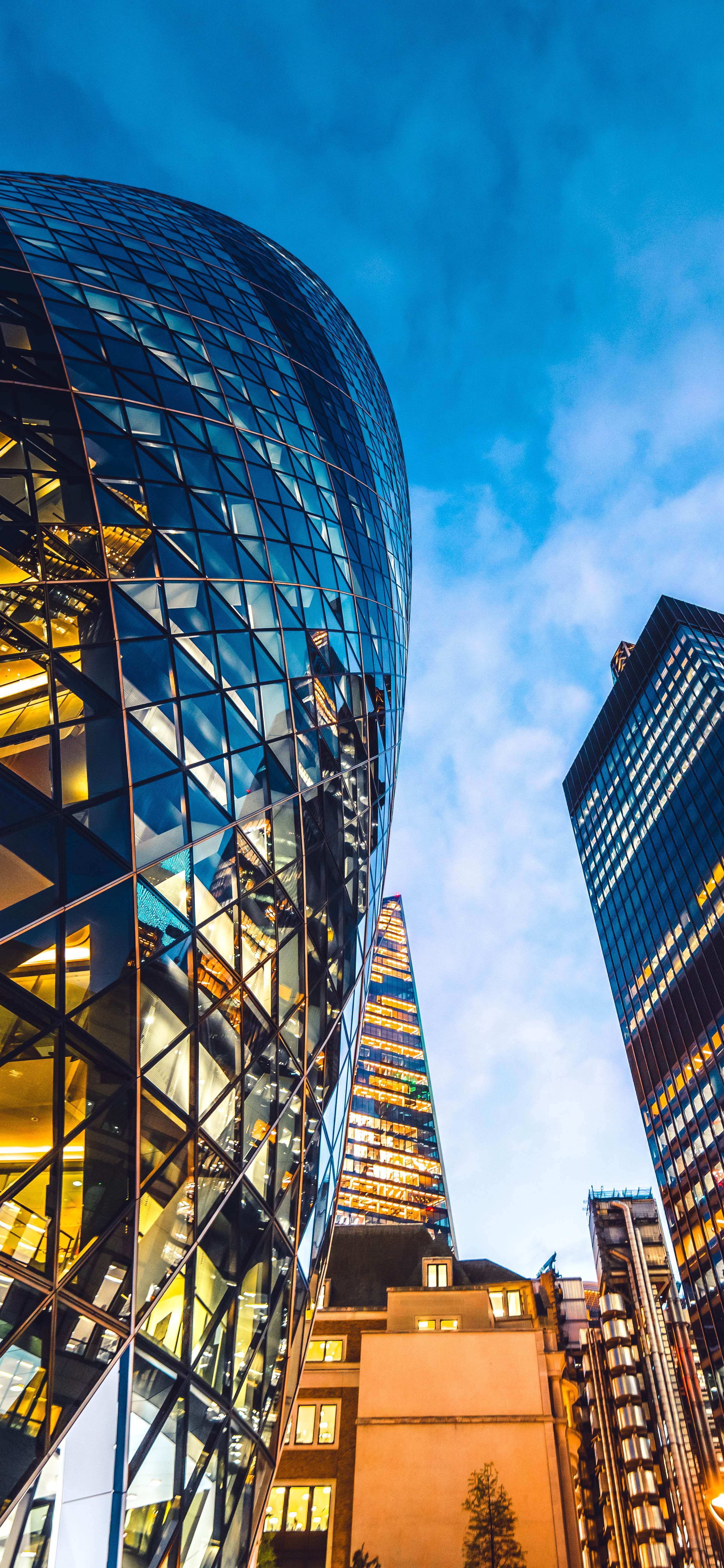 Downing Crowd | Bond Programme