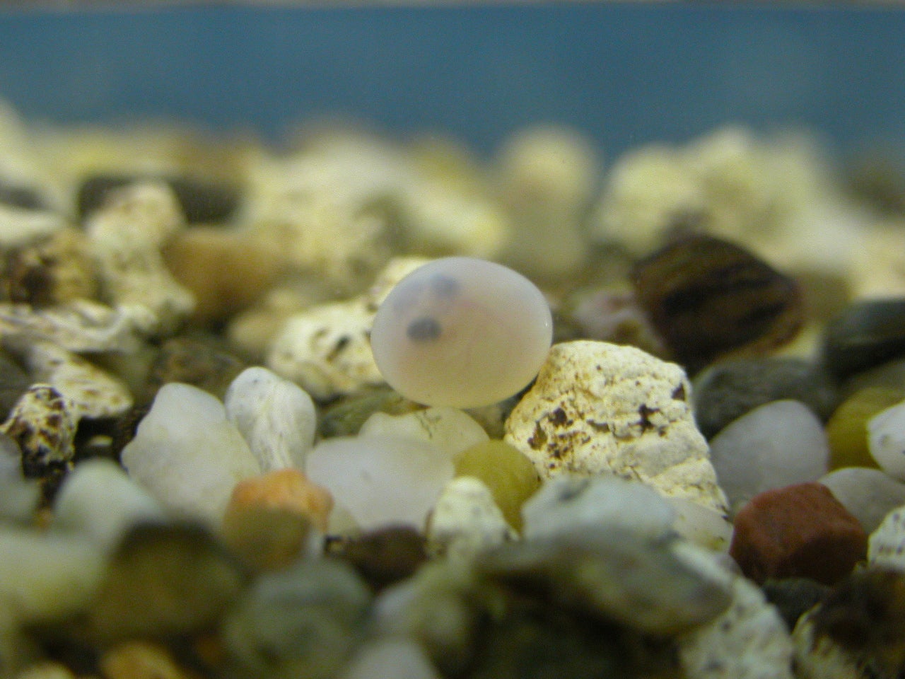 Fischerei | Autonome Provinz Bozen - Südtirol