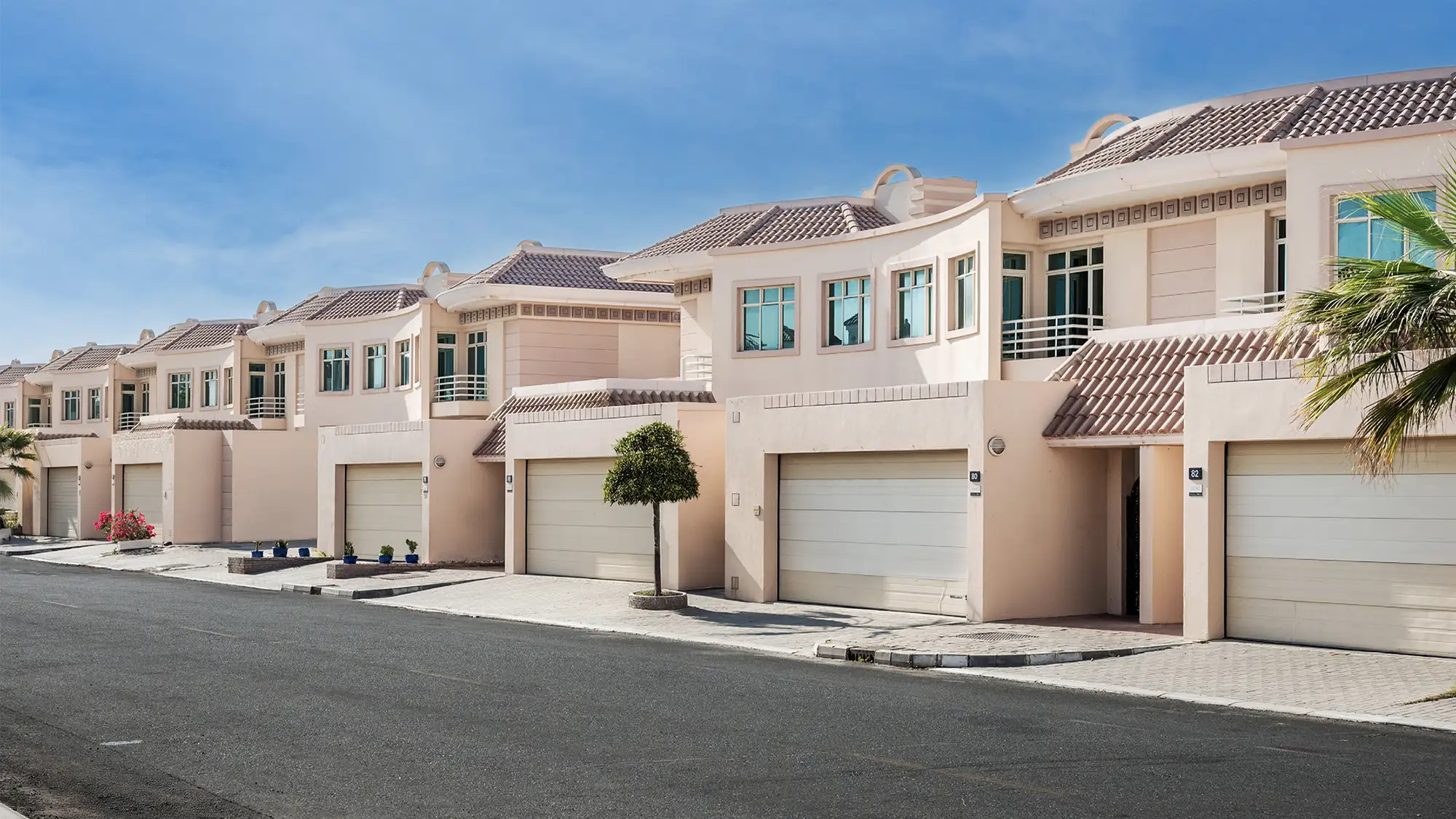 Our Projects