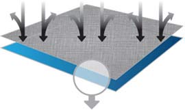 Williams Paint Protection | Motorpoint